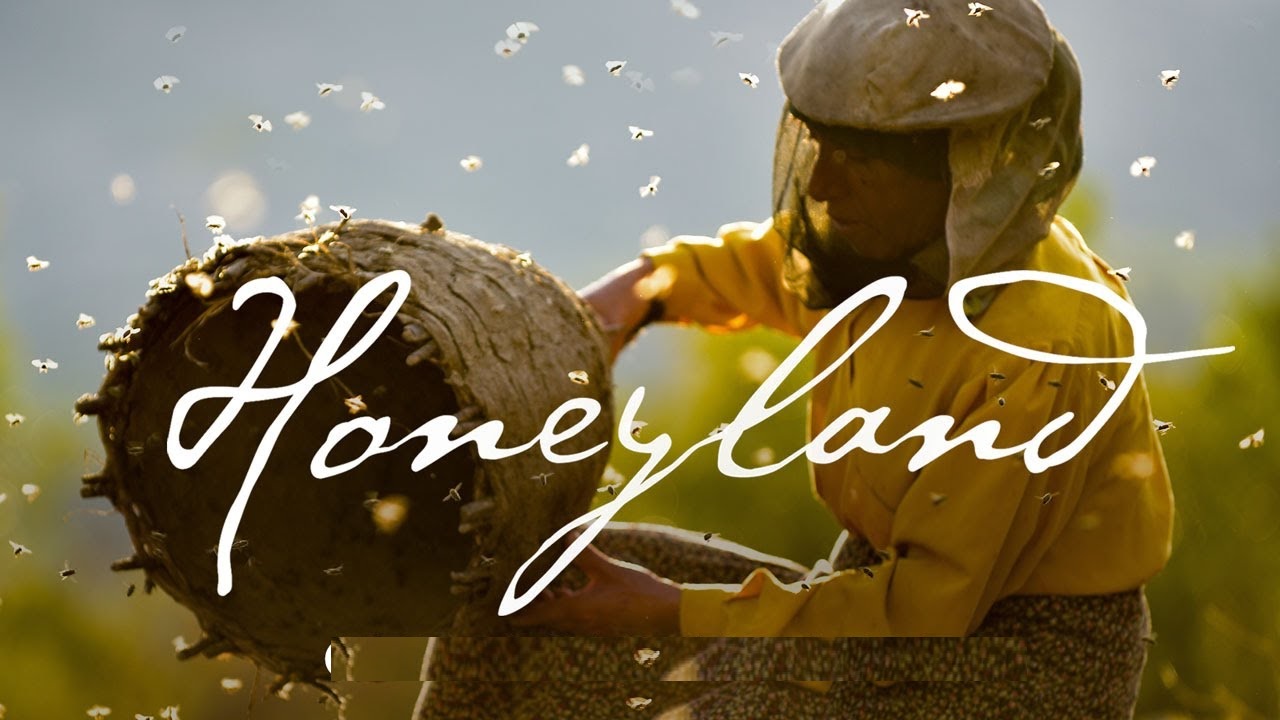 (Crisp) Movie Review: HONEYLAND by FENIL SETA - Filmy Fenil